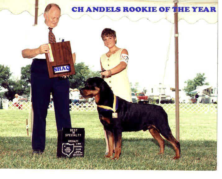 Rottweiler - The Breed Archive
