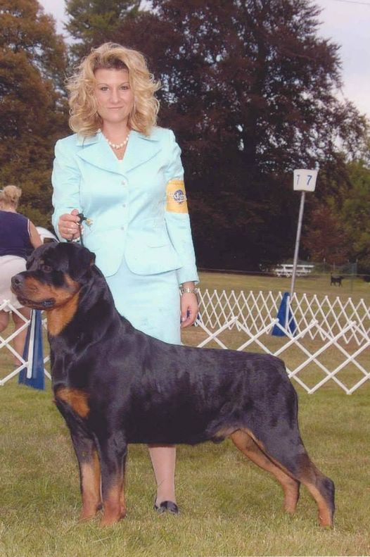 Rottweiler - The Breed Archive